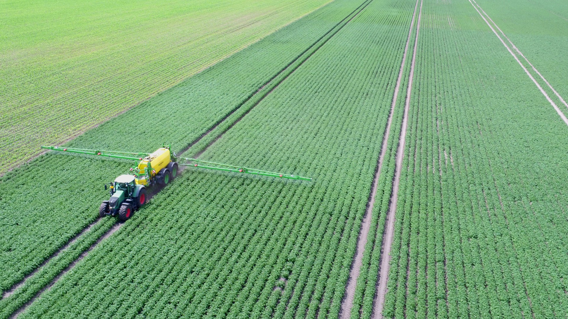 Over VDBORNE Campus | vdbornecampus.com